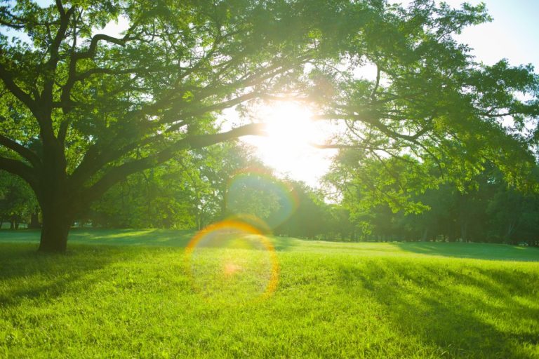 Summer Alert: Beware of UV Light! - Zoomax-Handheld Portable Video ...